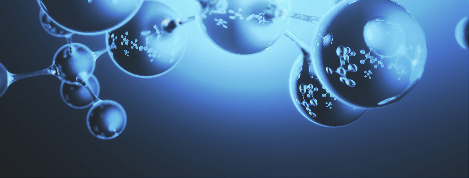 Biovance™ Membrane | Decellularized Amniotic Allograft by Life Biologics