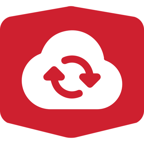 Industry Leading Offender Management System Implementation