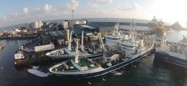 Cutting Energy Costs in Pelagic Processing - BAADER Fish