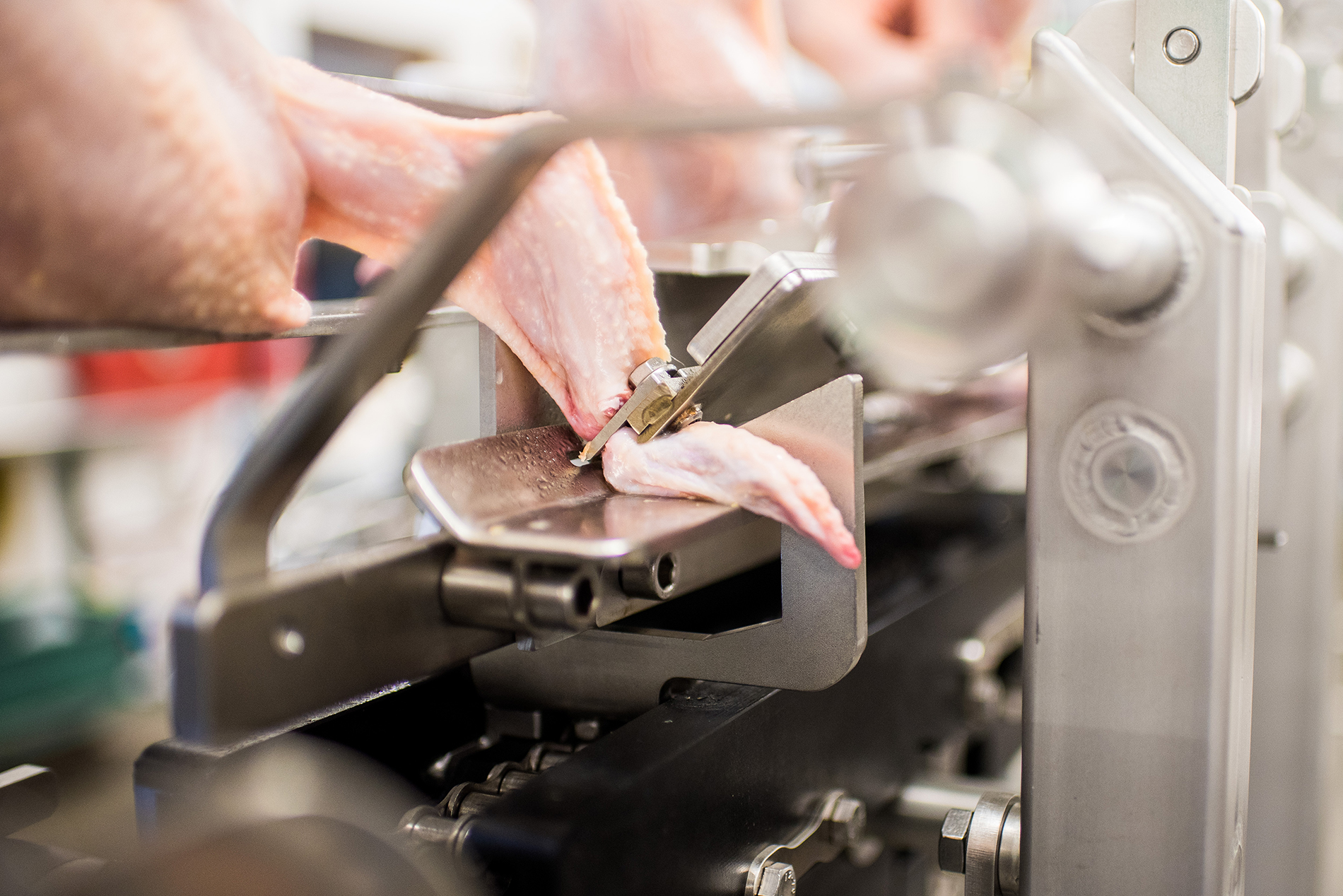 Challenges Processing Big Birds