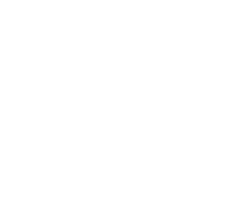 VeVe 101
