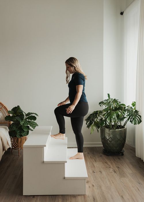 Dr. Gretchen Hawley | Courses