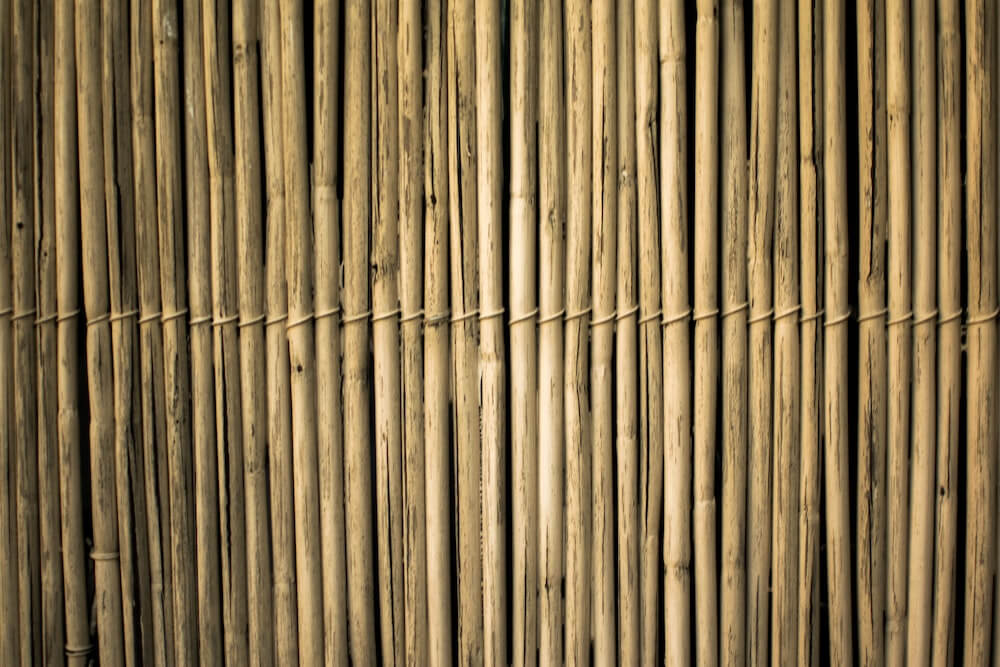 Bamboo As A Building Material | The Momentum