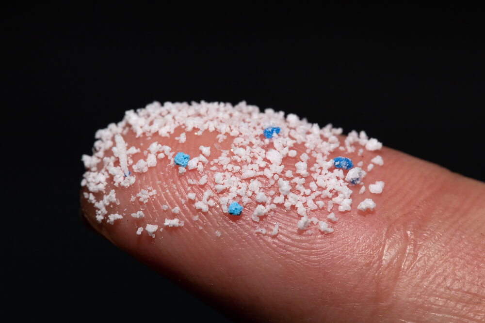 How Microplastics (From Foods You're Eating) Can Impact Your Gut And ...