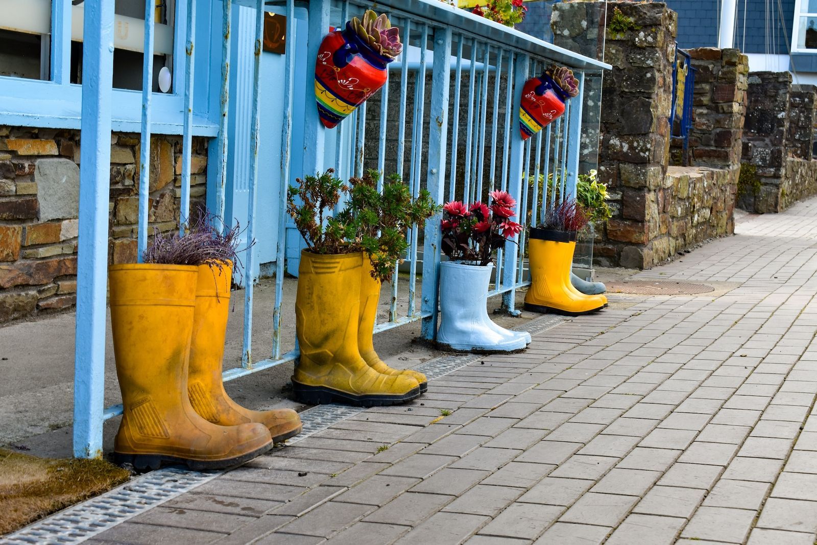 How Bleach Damages The Environment And Our Health | The Momentum