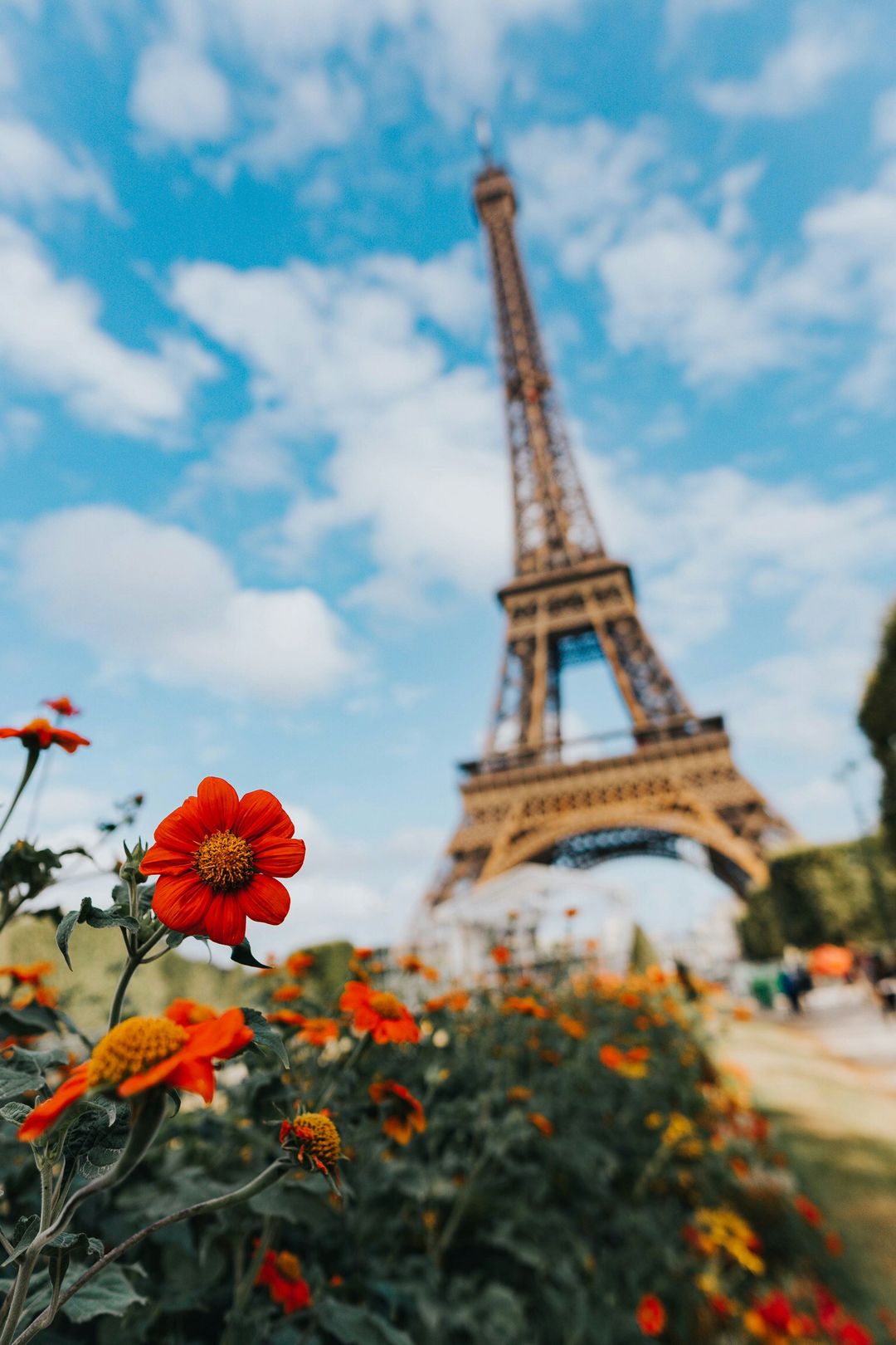 Is French Easy to Learn? Here's Our Honest Analysis | Just Learn