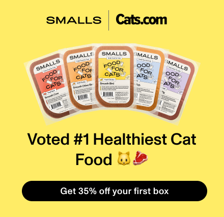 Cats.com