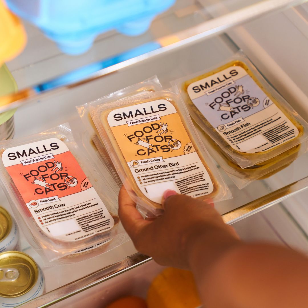 Premium Cat Food | 🐓 Fresh Ground Bird Sampler | Smalls