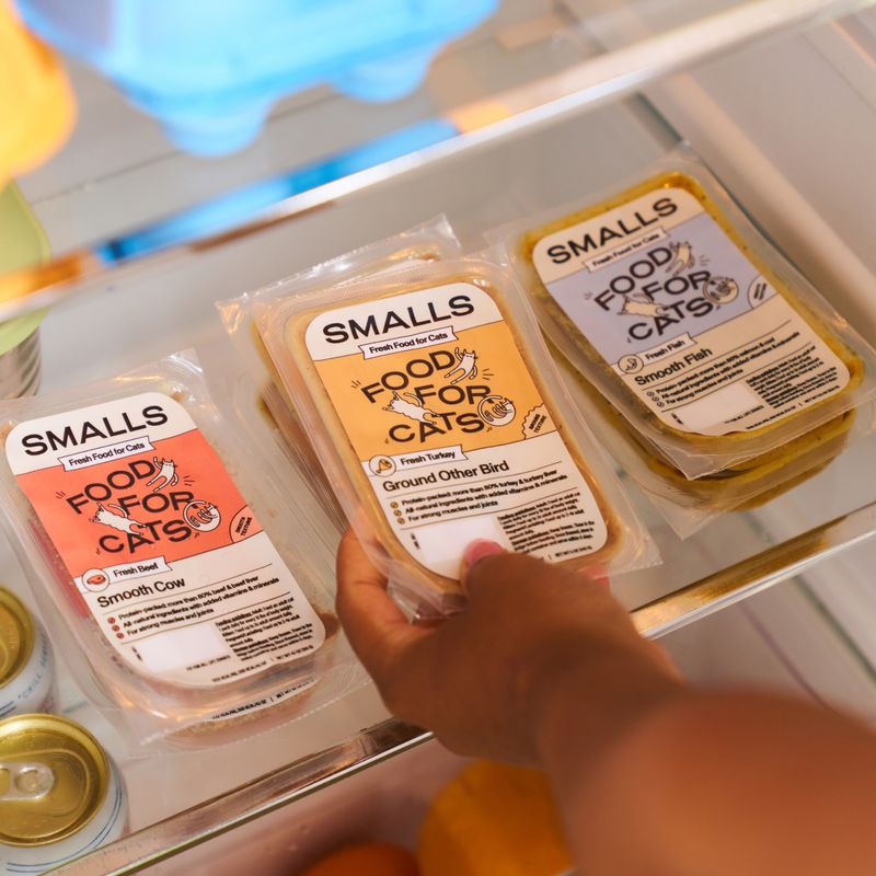 Fresh Food Sampler | 🐱 Kitten | Smalls