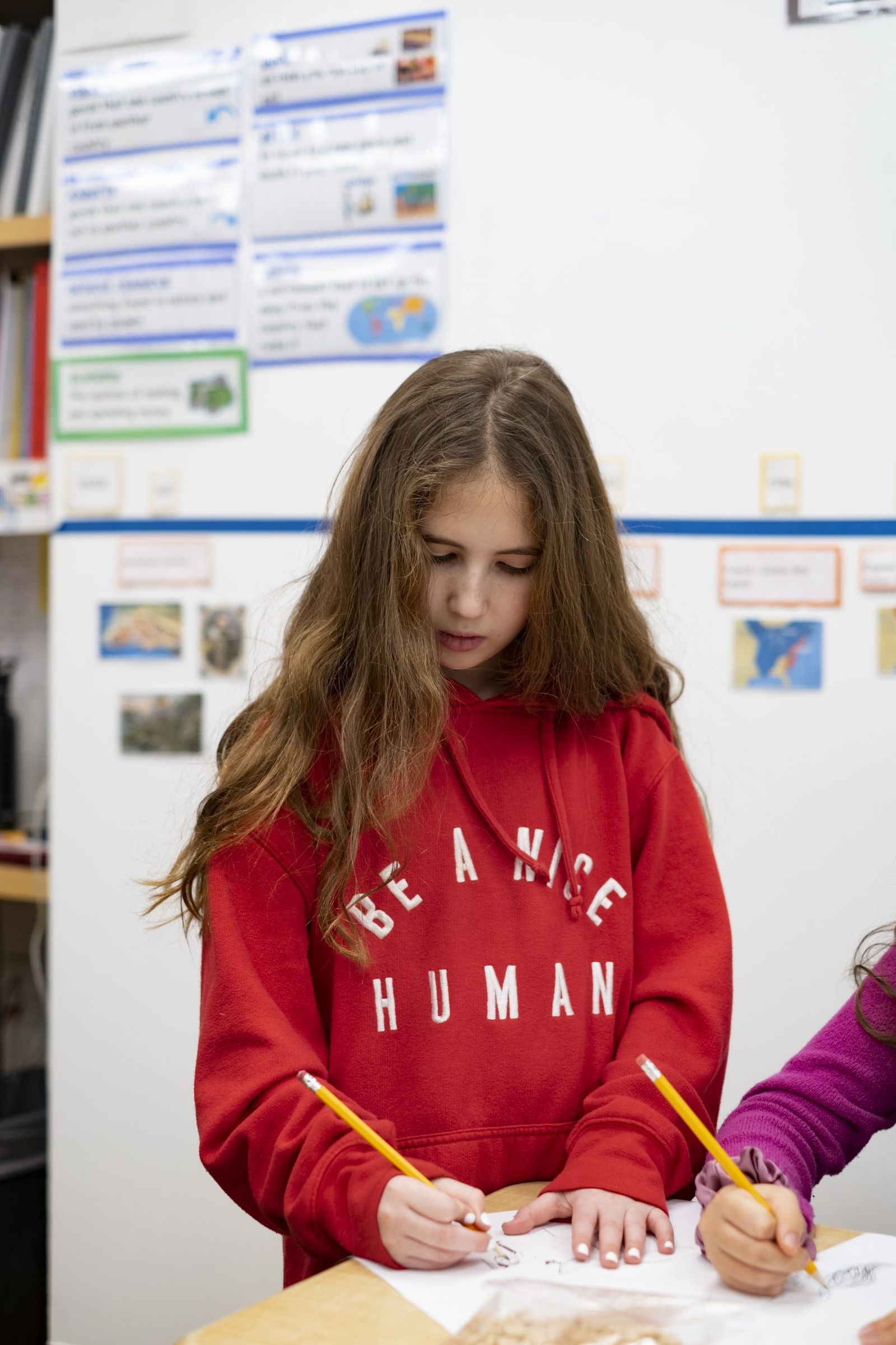 The Shefa School Program Overview