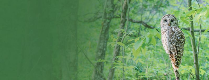 Cincinnati Nature Center | Leadership & Board of Directors