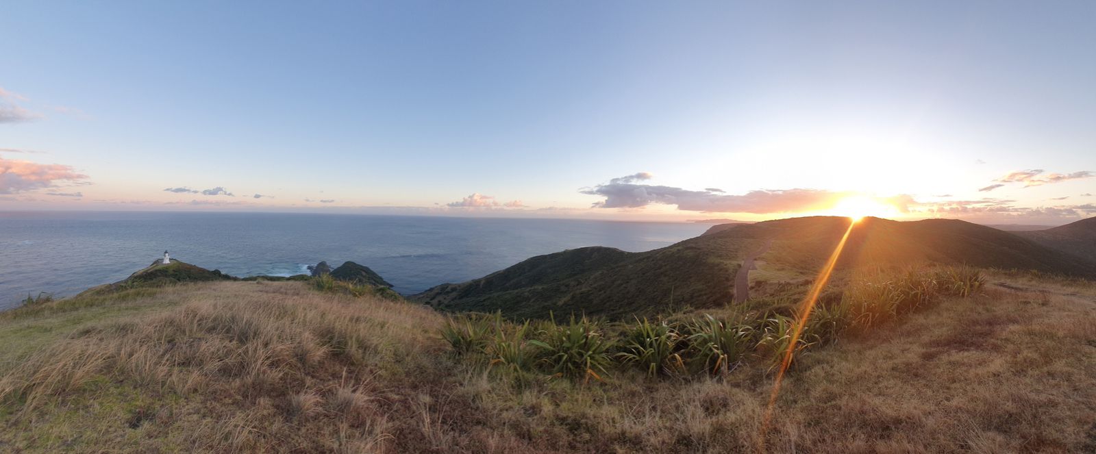 How to Apply for NZ Citizenship | Malcolm Pacific Immigration