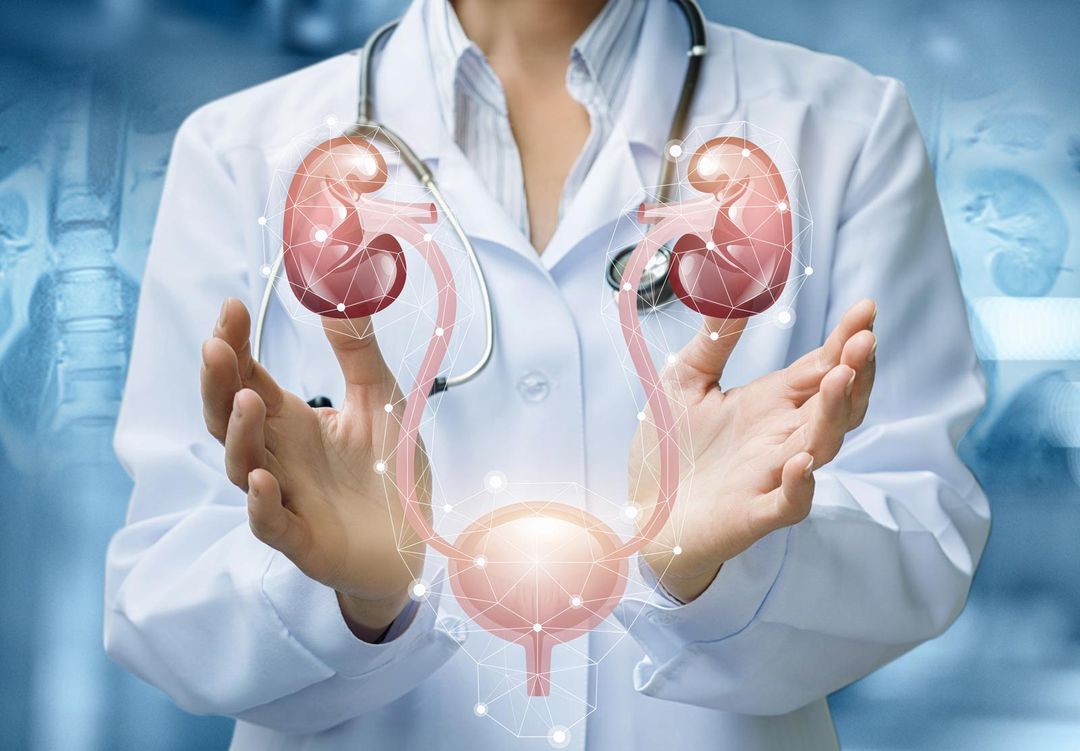 Ariel Kaufman, MD | USG Provider