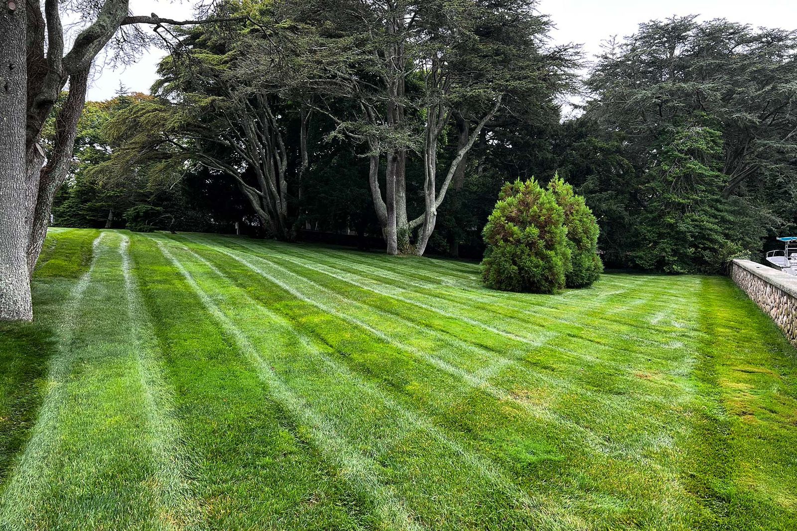 Premium Lawn and Landscaping Care | Rose Lawn Care Services