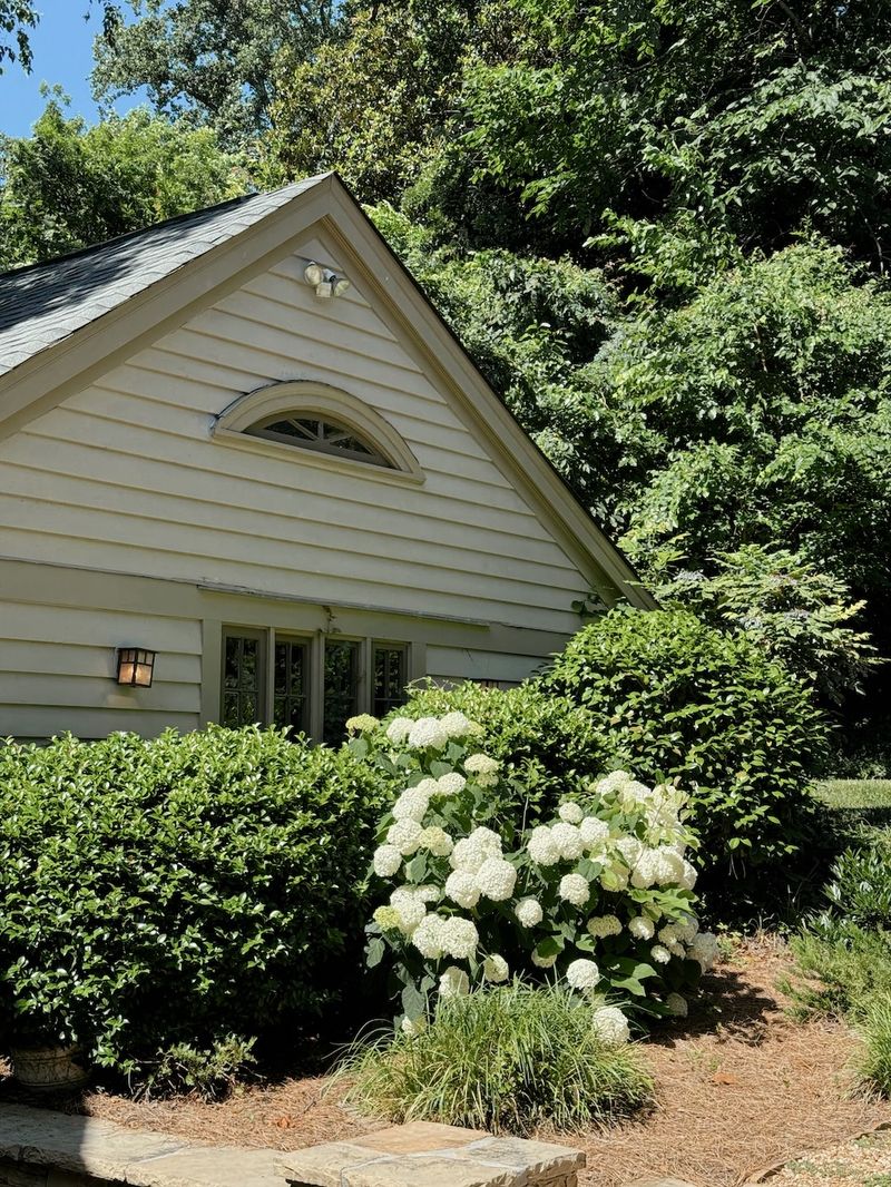 18 Gorgeous Paint Colors for Your Dream Green Kitchen | Ruff Details Blog