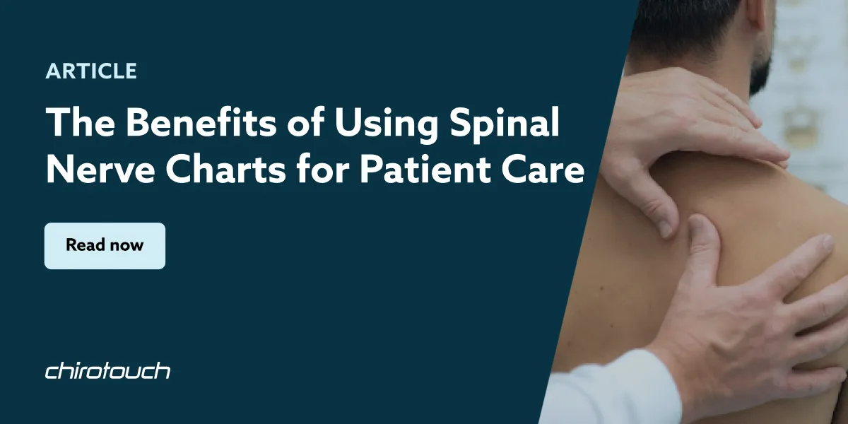 Chiropractic Spinal Nerve Charts for Doctors and Patients
