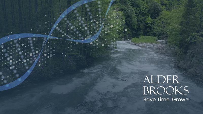 Alder Brooks | Executive Recruiting for Commercial Leadership in Life ...