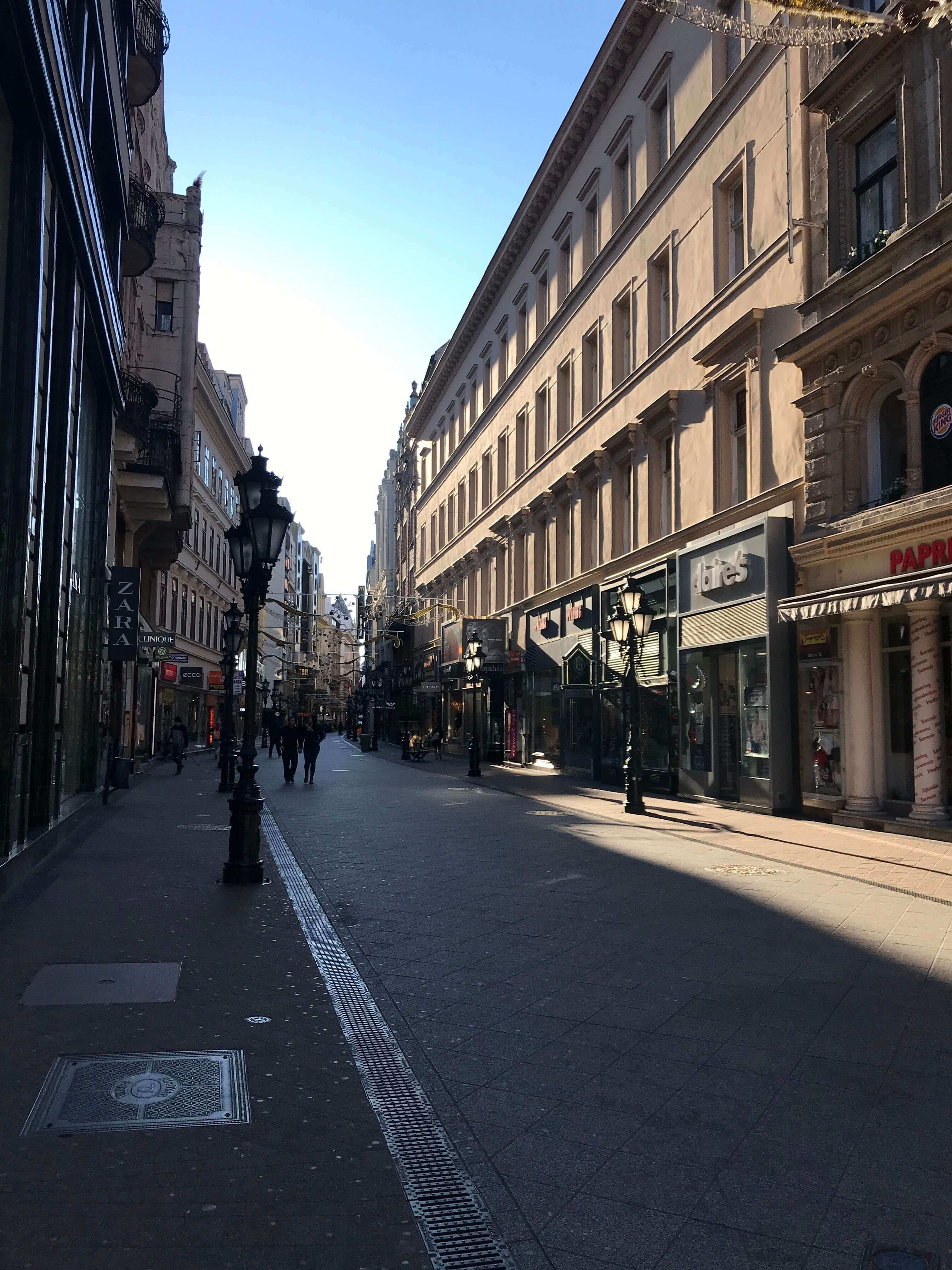 Learning Hungarian with Drops: Milestone 7