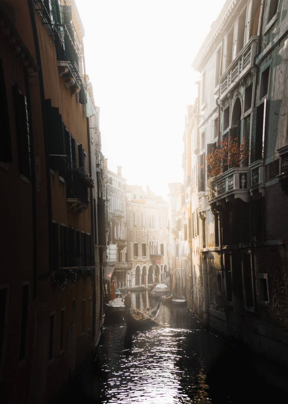 The Italian Language: Its History & Defining Characteristics