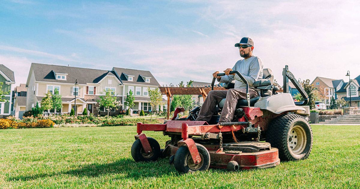 Website, Branding & SEO Pricing for Green Industry Businesses | Branded Bull