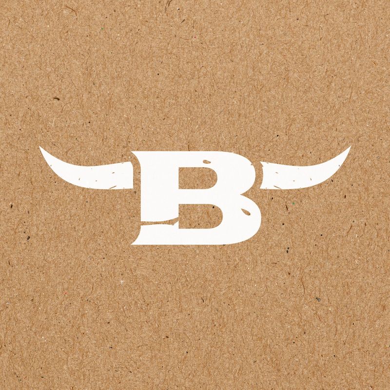 La Boucane BBQ logo, graphisme et site web - Projets - Agence Nabi
