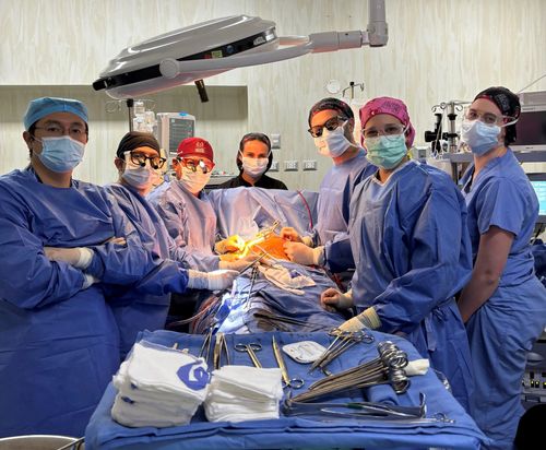 The Thoracic Surgery Foundation