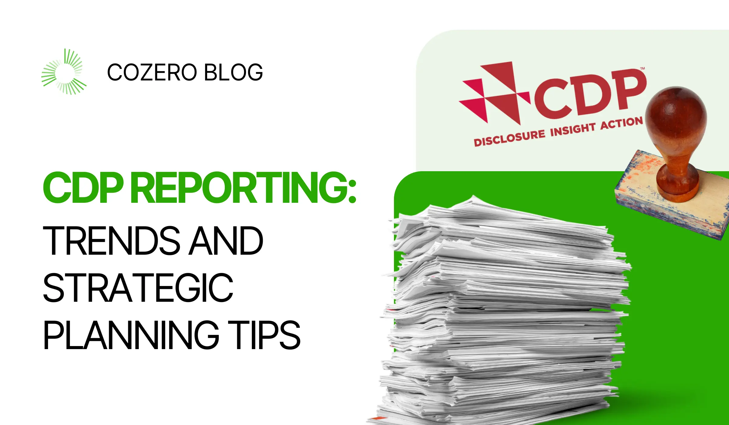 CDP reporting framework: Trends and strategic planning tips for 2025