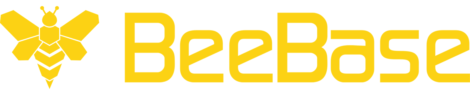 BeeBase Der IT Partner in Winterthur
