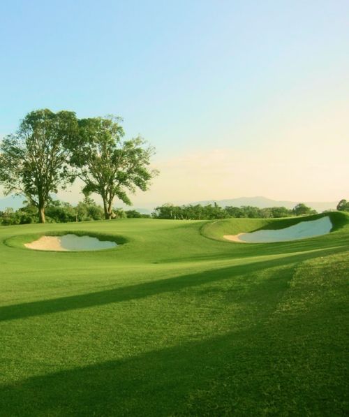 Mimosa Plus Golf Course | Netforce International