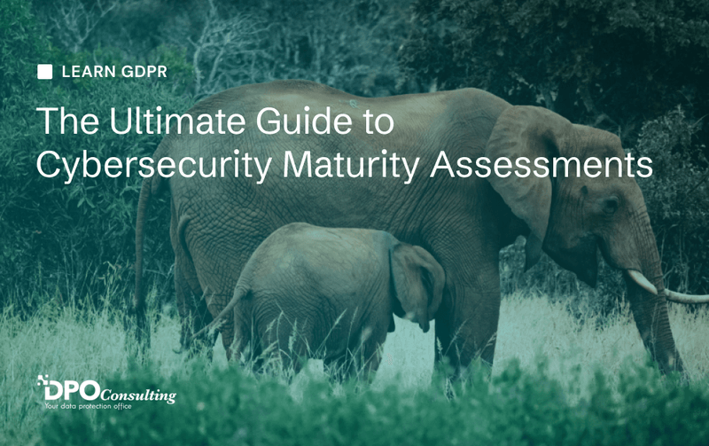 The Ultimate Guide to Cybersecurity Maturity Assessments | DPO Consulting