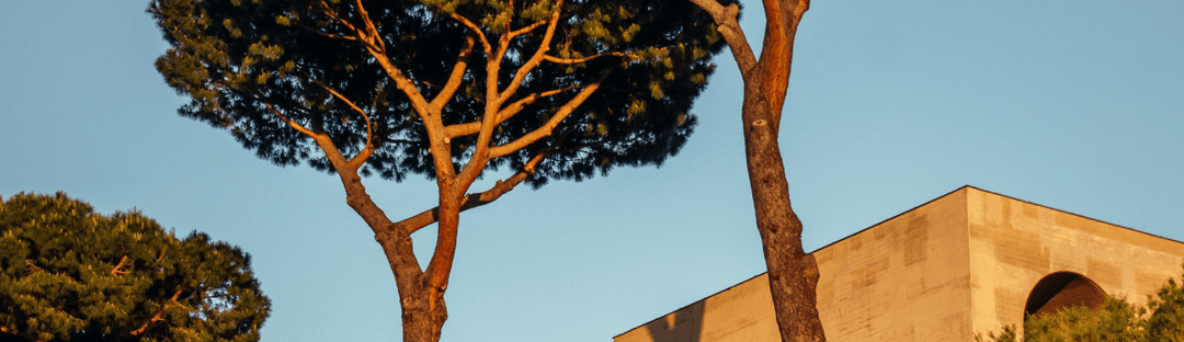 Casa Monti Roma | Hotel near Colosseum | Discover luxury living