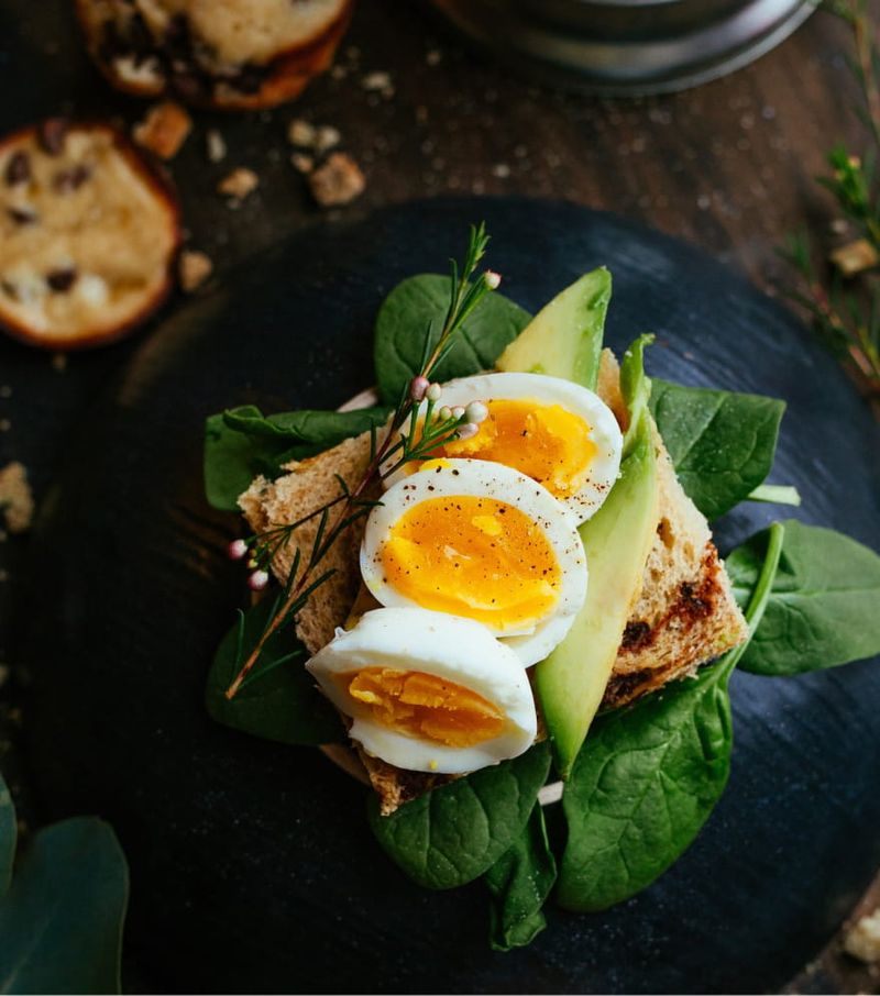 Zenfit - 360° health coaching software