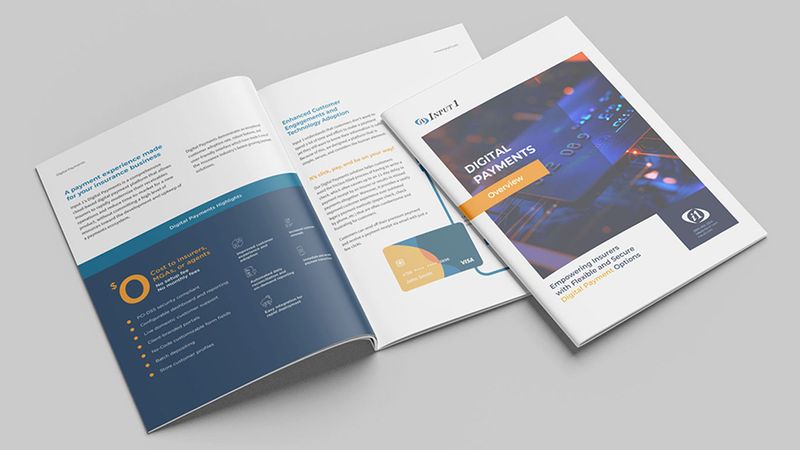 Insurance Digital Payment Processing | Input 1 Payments