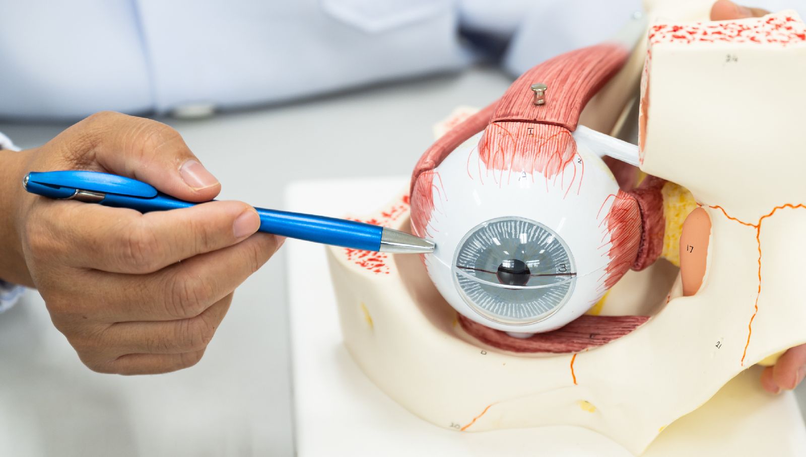 LASEK vs LASIK vs PRK vs SMILE: What are the differences between these ...