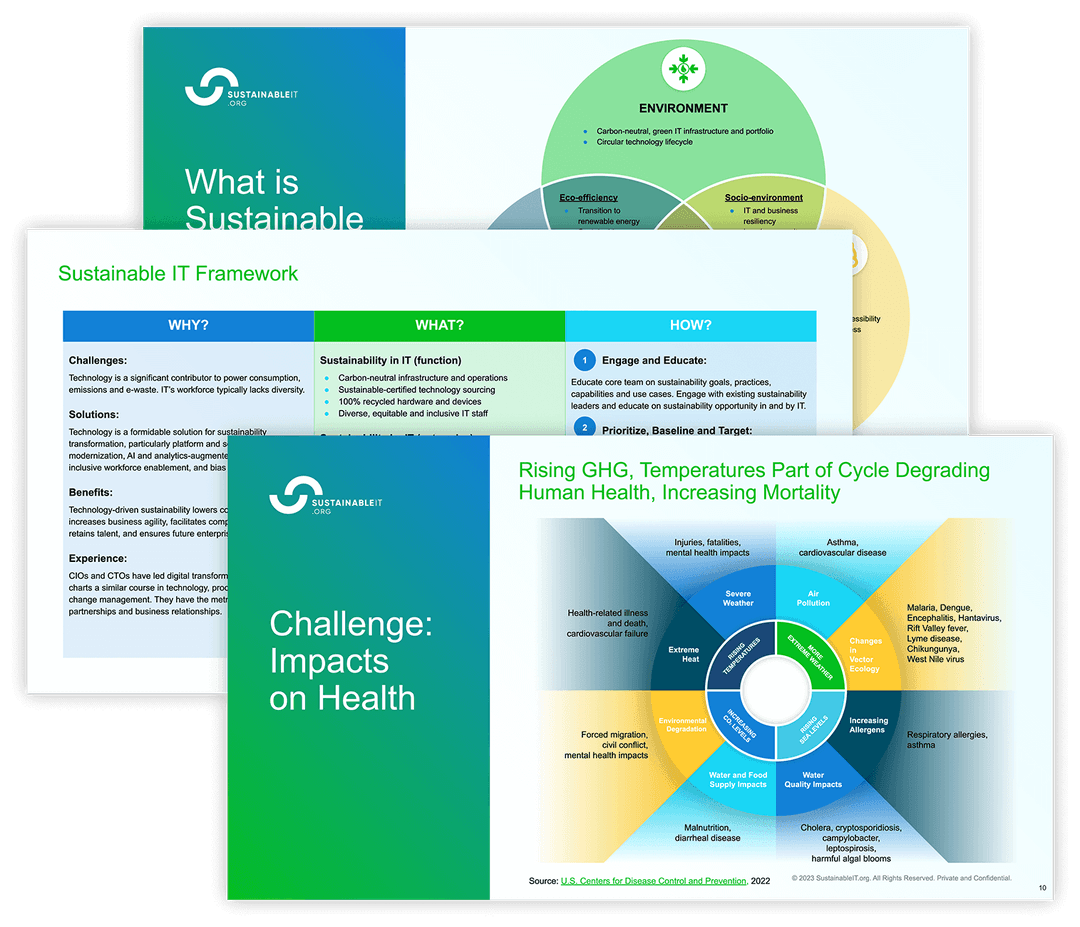 Environmental Sustainability Standards | SustainableIT.org