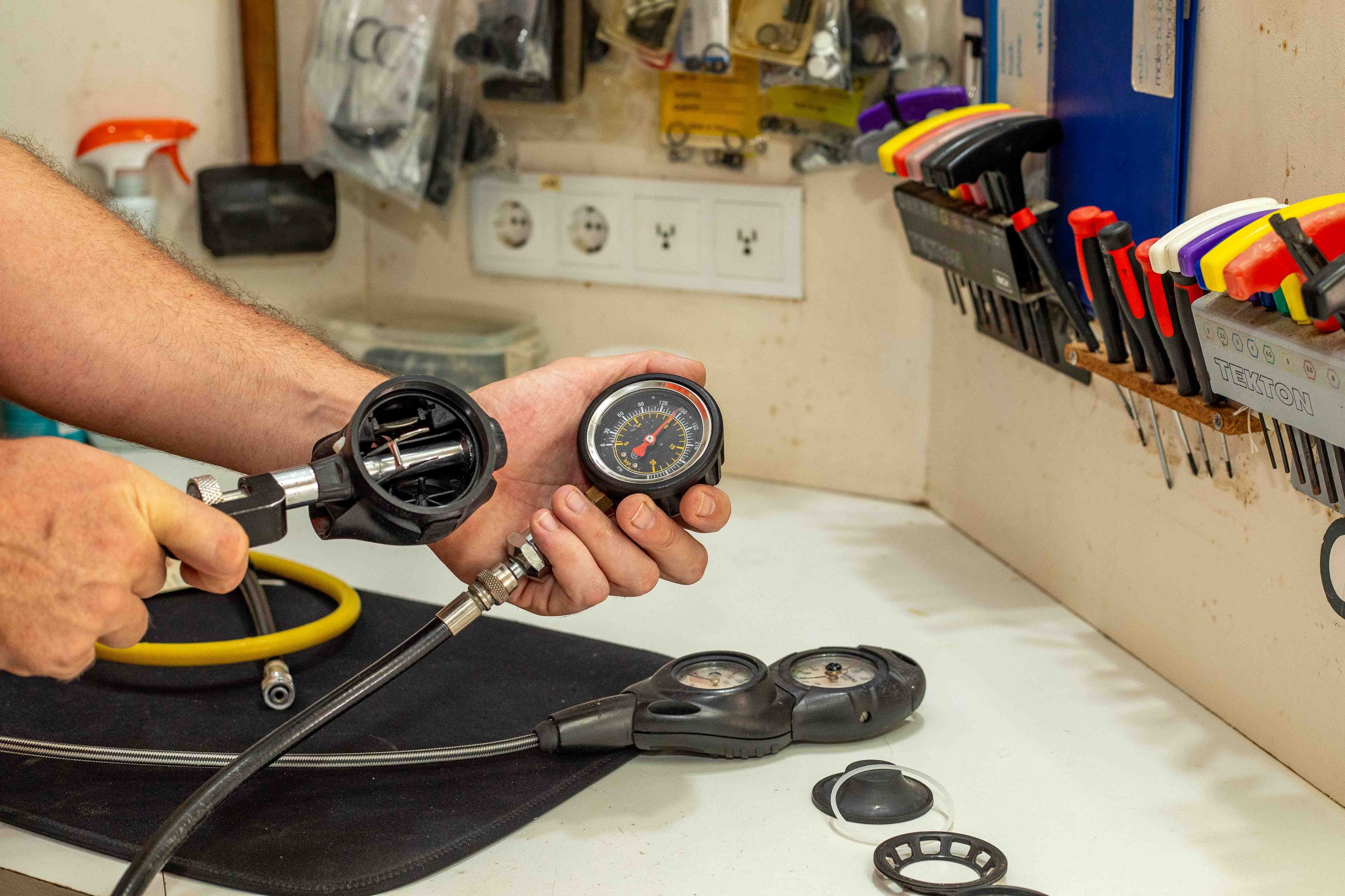 VIP Diving | Your Dive Shop on Bonaire