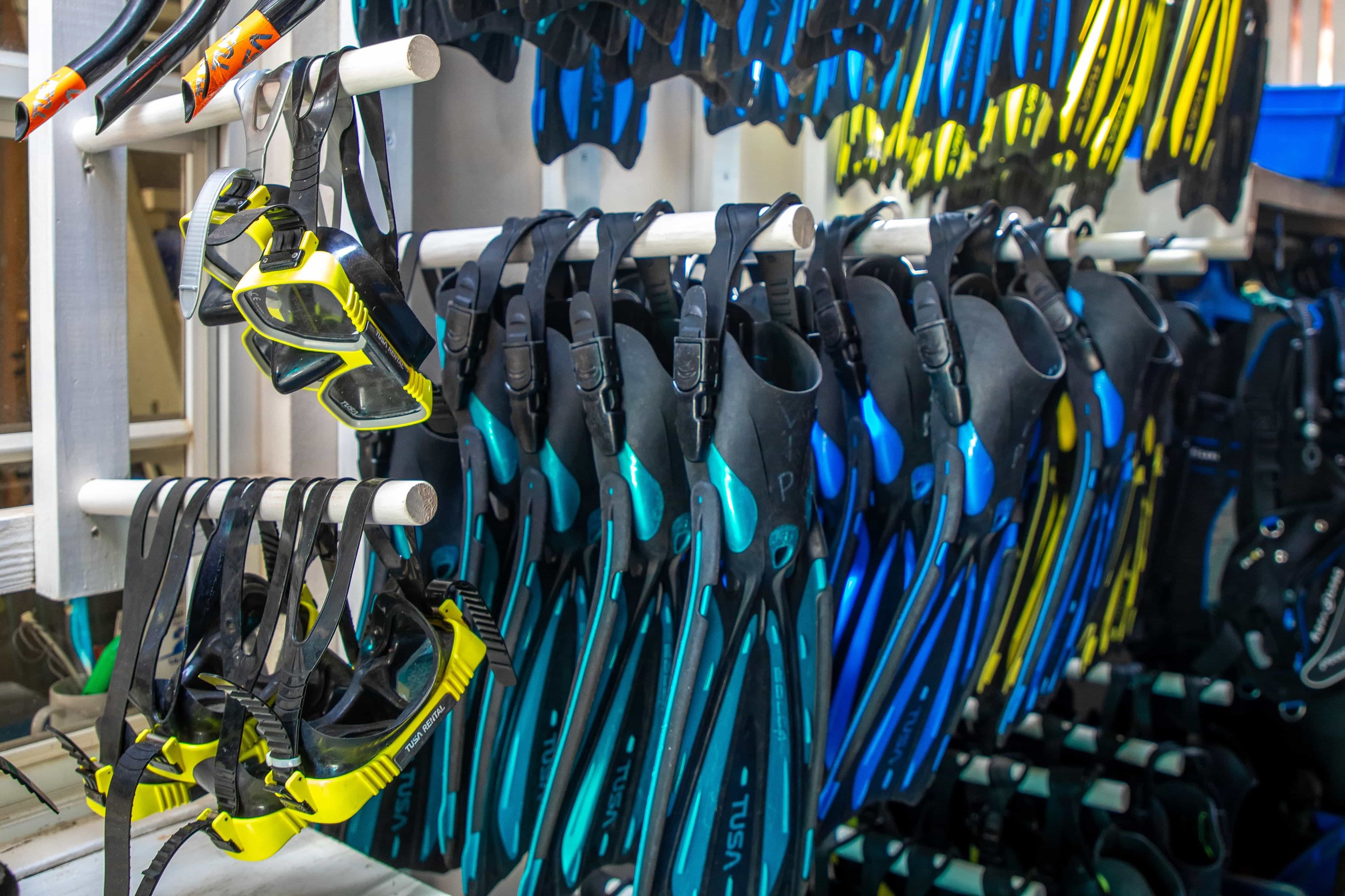 VIP Diving | Your Dive Shop on Bonaire