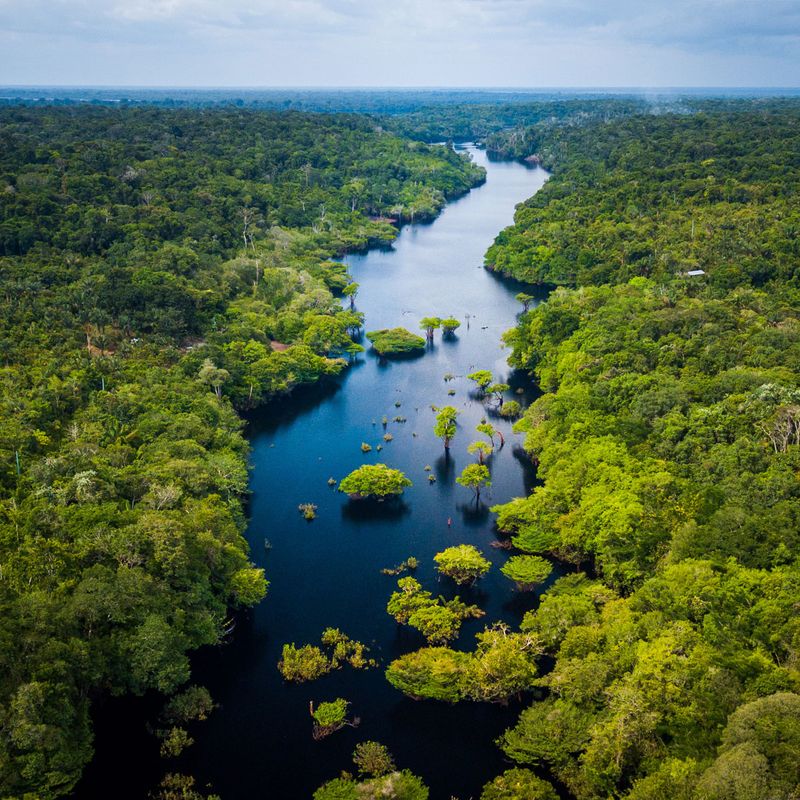 Octavia Carbon: Building the Global South’s First Direct Air Capture ...