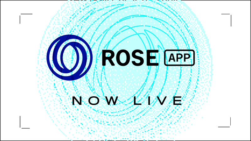 Introducing ROSE App: A Comprehensive Toolkit for Using ROSE