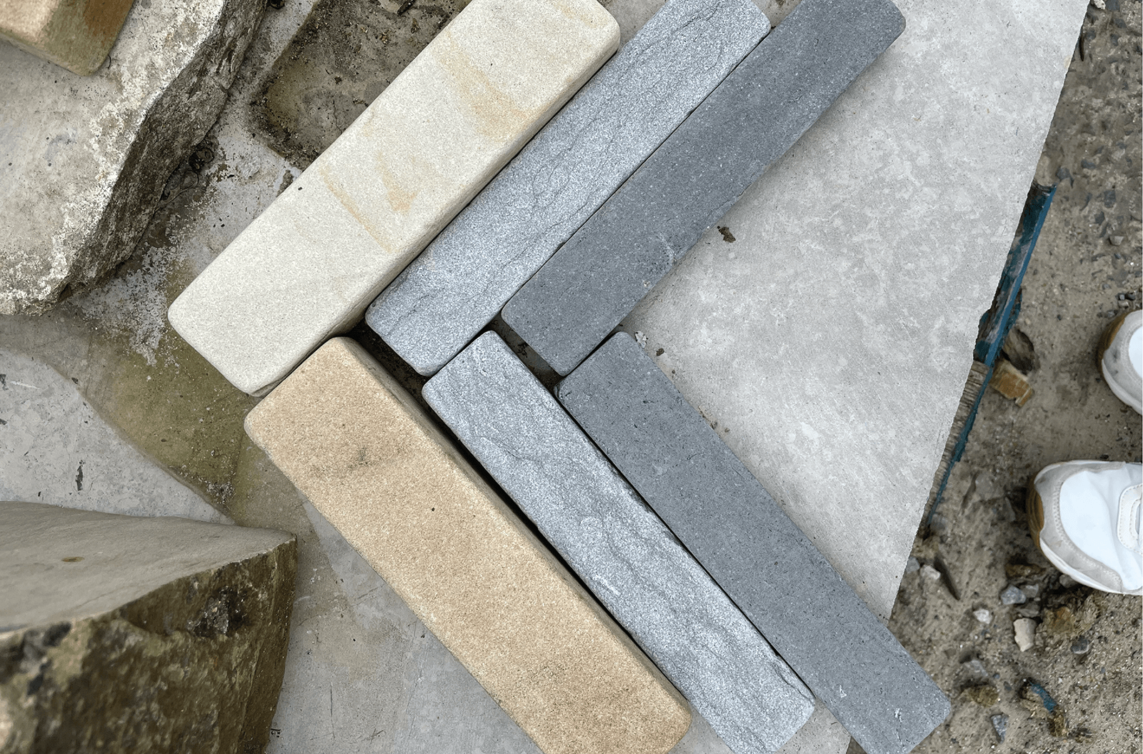 A JOURNEY WITH STUDIO TERRAIN