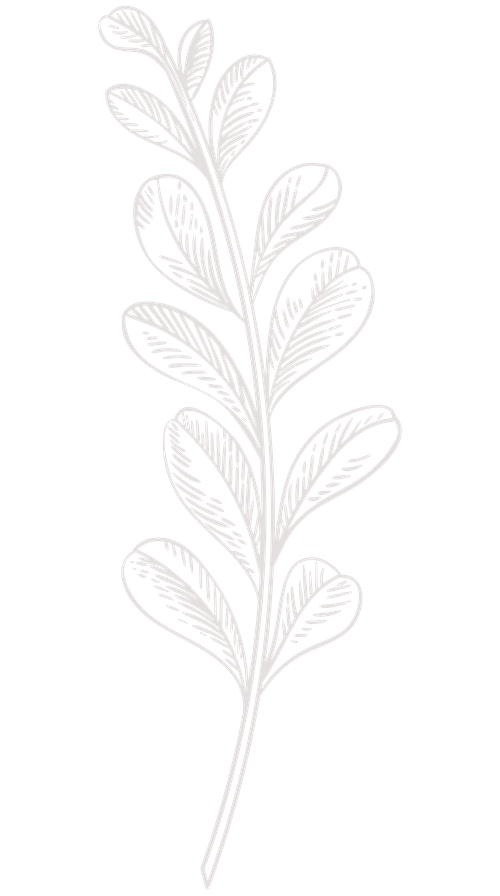 Luxury Apartments in Walnut Creek, CA | Alwell | Home