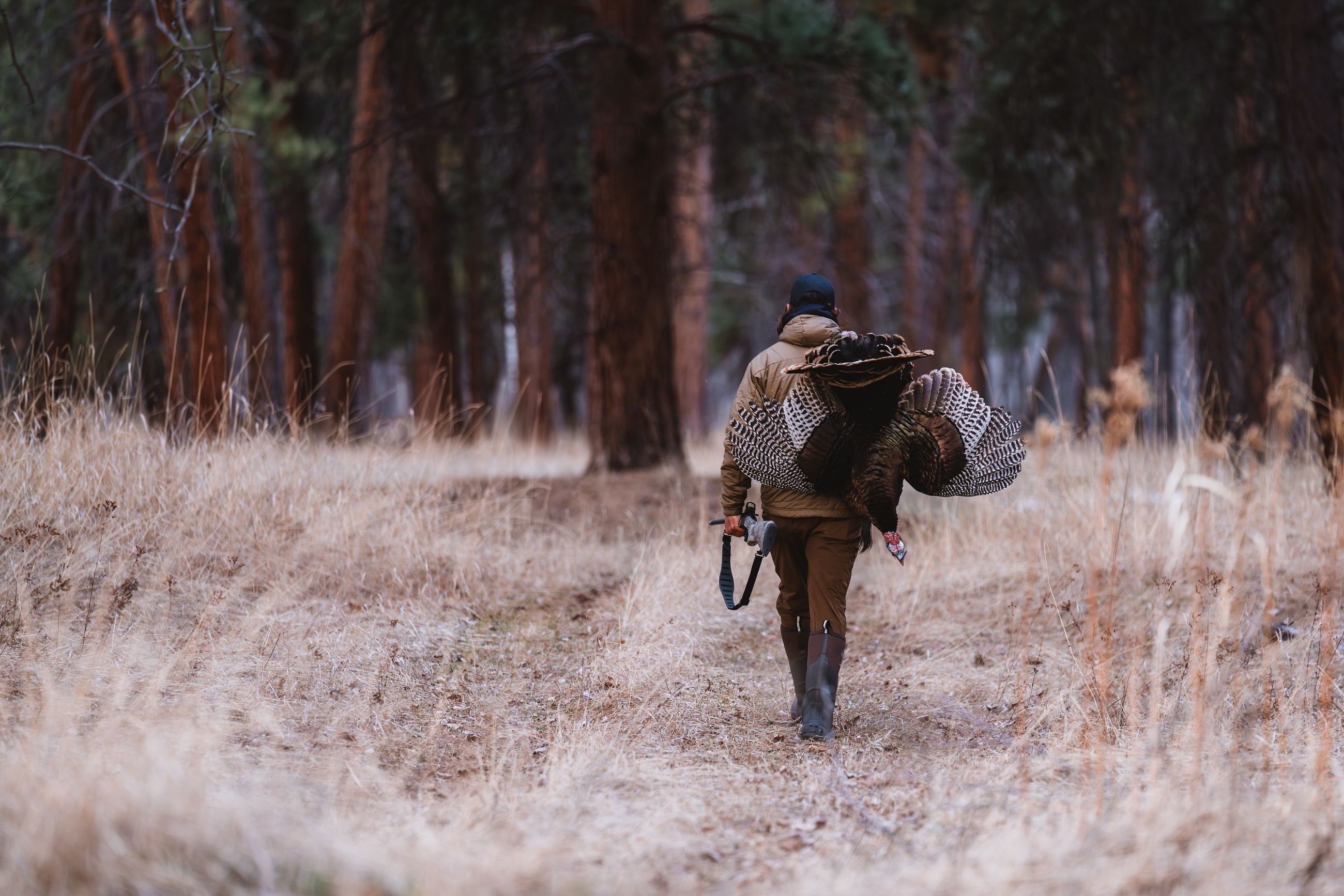 The History of Hunting: Where Everything Started