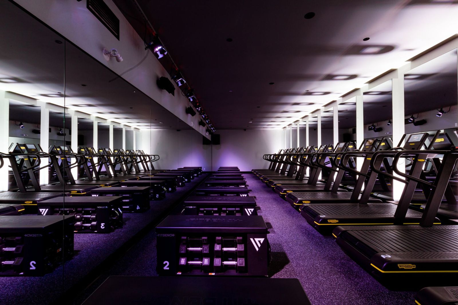 VibeCycle: High-End Boutique Fitness Like Never Before