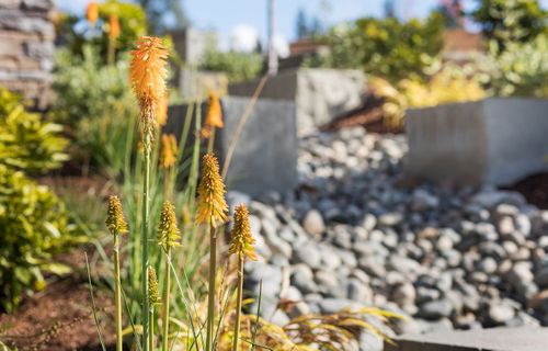 Pacific Landscape Management