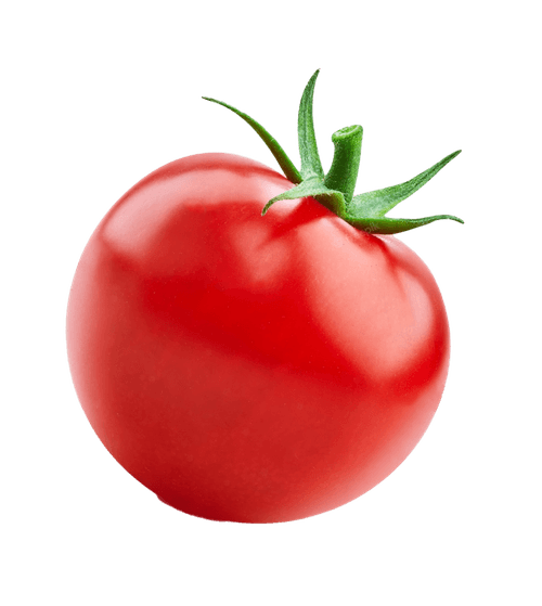 Our Story | Scotty Bon's Grill | The Journey Behind the Flavors