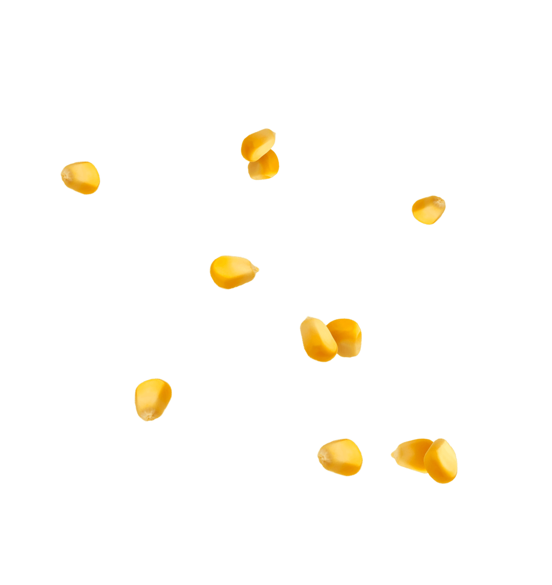 Scotty Bon's Grill | Authentic Caribbean Flavors & Good Vibes