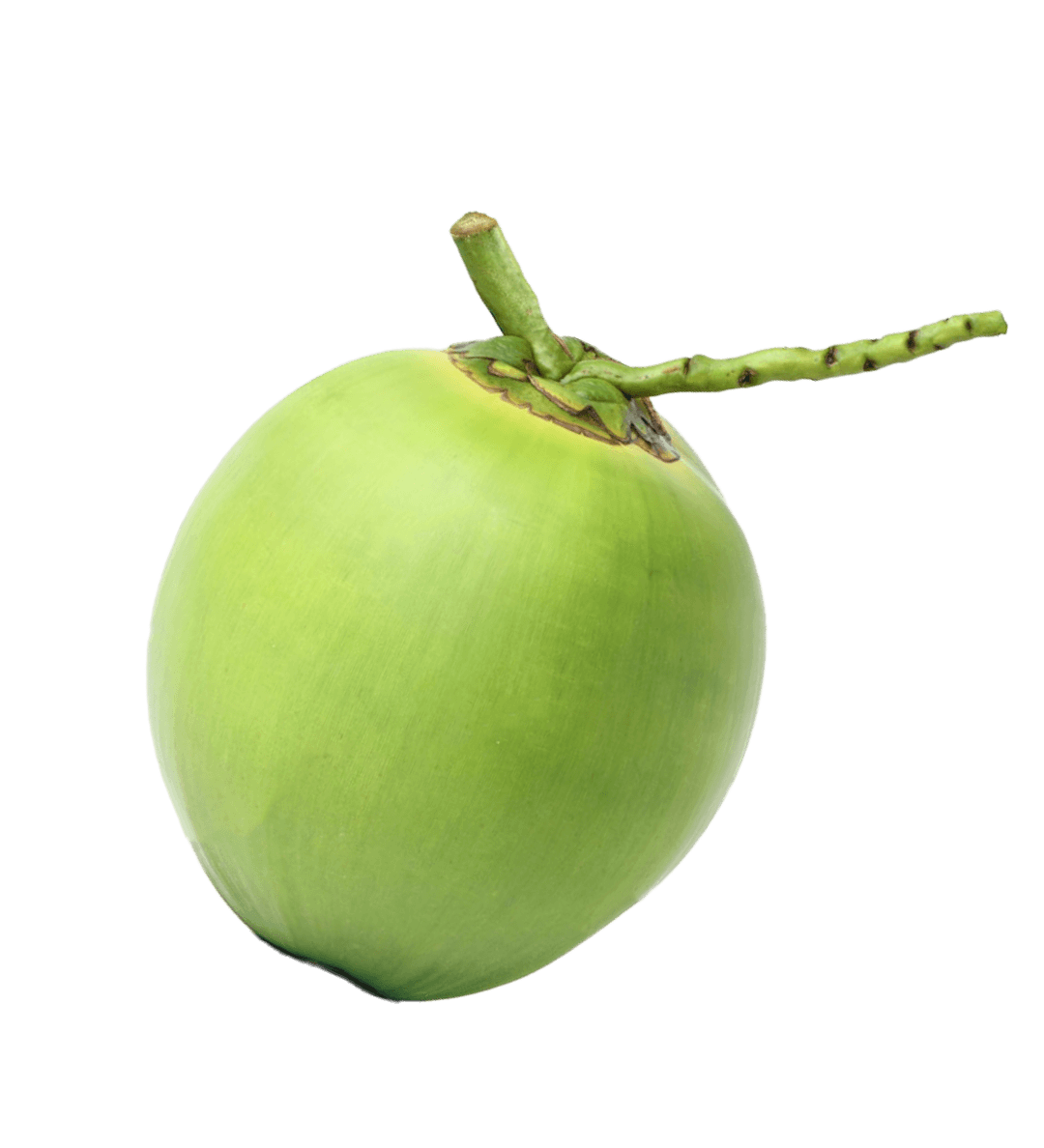 Scotty Bon's Grill | Authentic Caribbean Flavors & Good Vibes