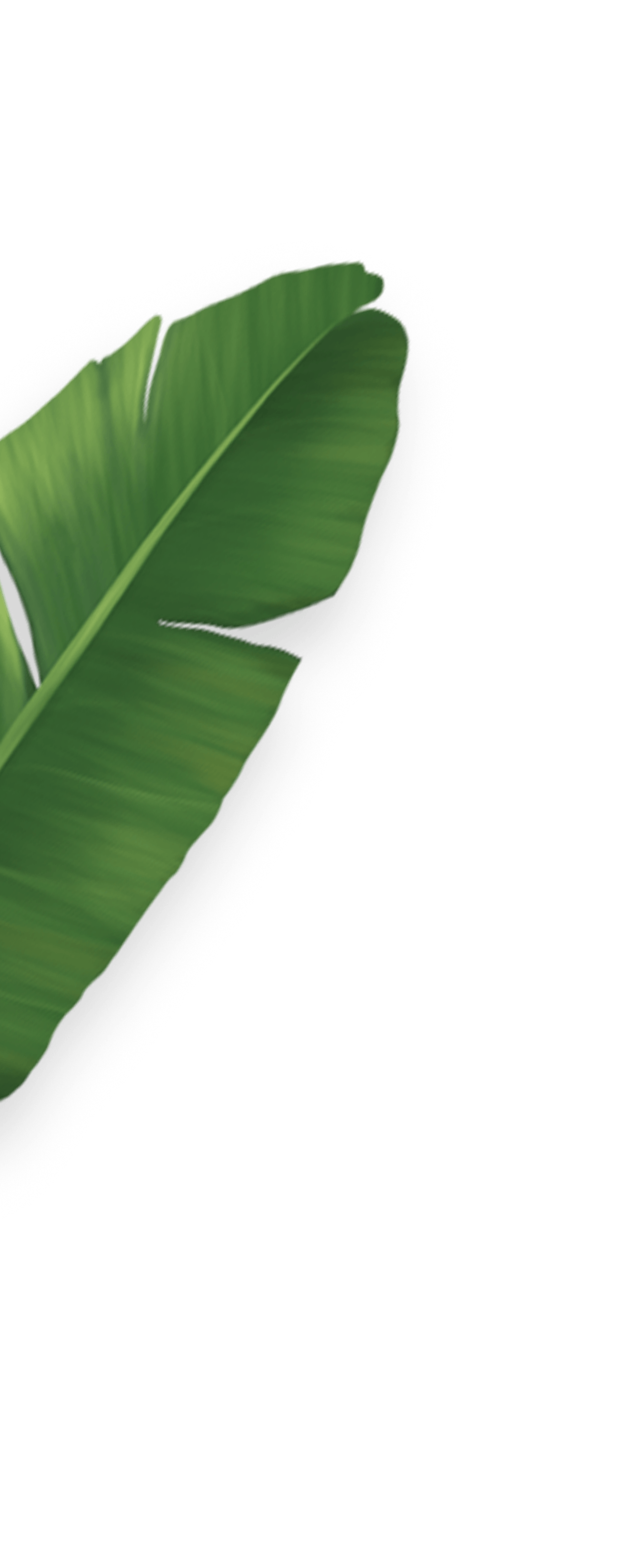 Scotty Bon's Grill | Authentic Caribbean Flavors & Good Vibes