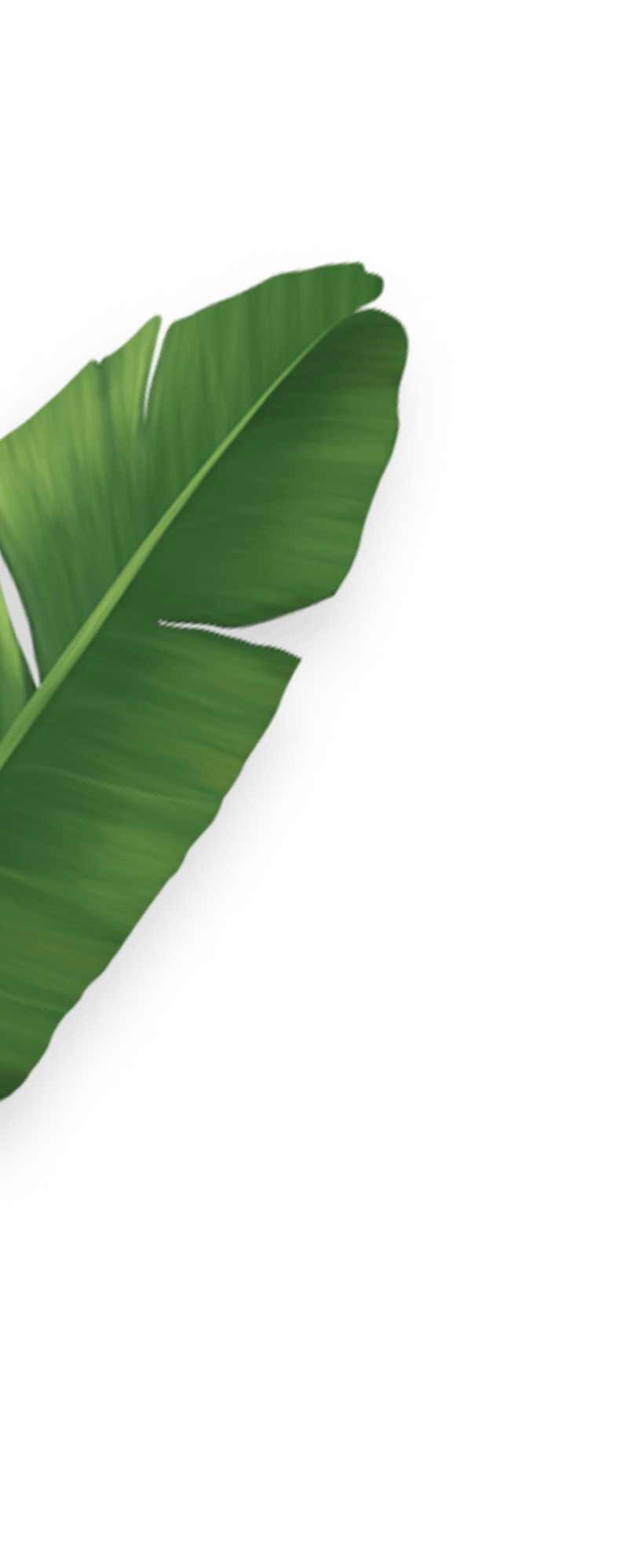 Scotty Bon's Grill | Authentic Caribbean Flavors & Good Vibes