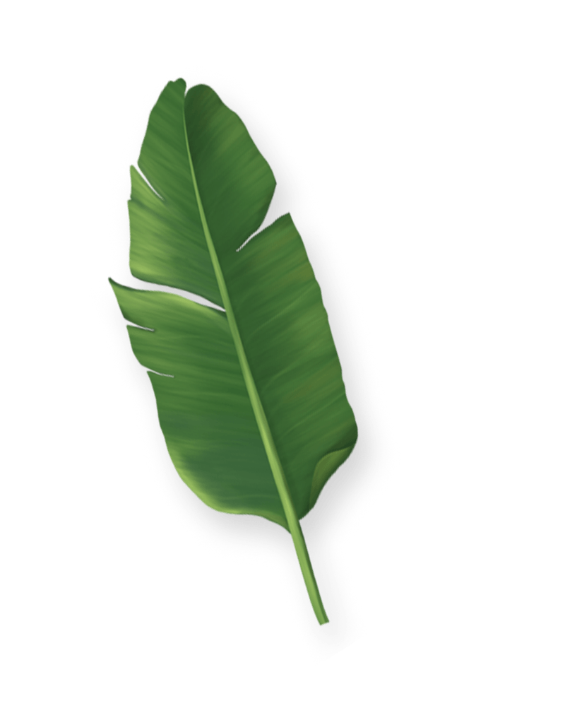 Our Story | Scotty Bon's Grill | The Journey Behind the Flavors